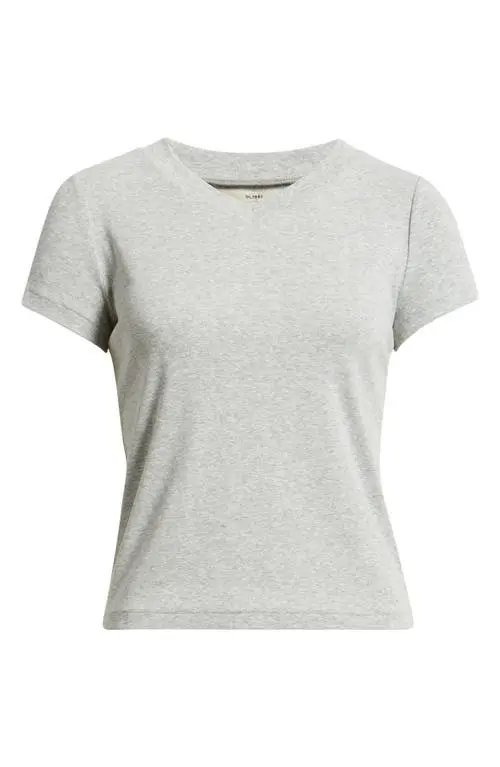 DL1961 Shrunken V-neck Tee