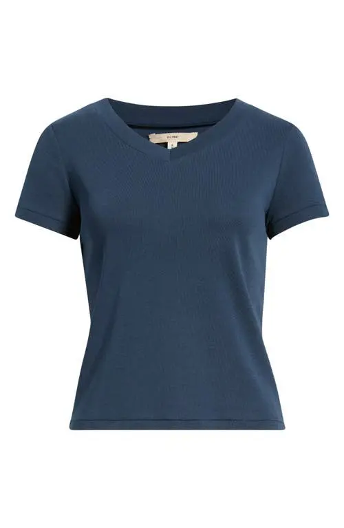 DL1961 Shrunken V-neck Tee