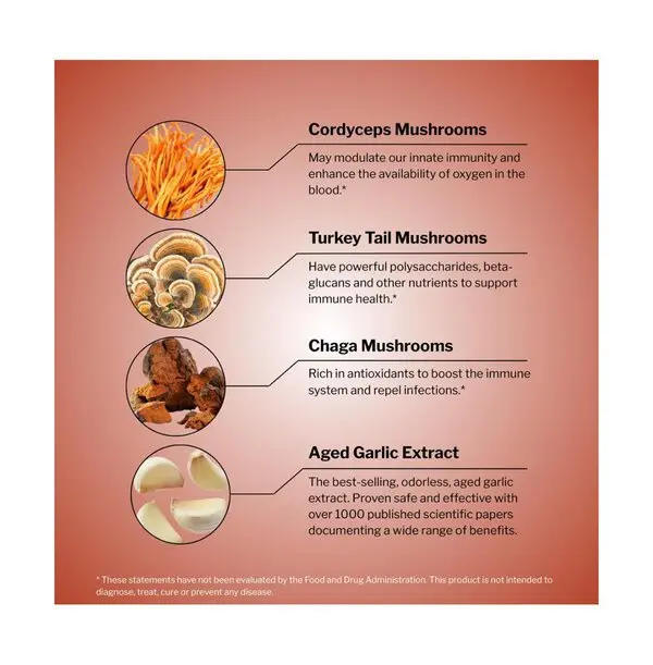 KYOLIC Immune Mushrooms Supplement | Chaga