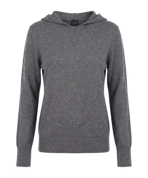 Pinko Hooded Sweater