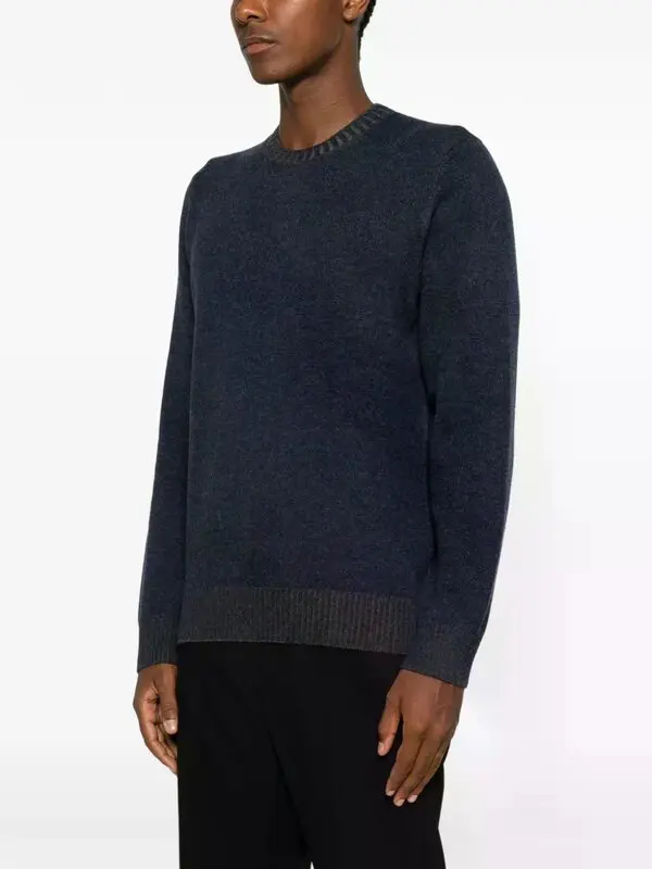 VENGERA Contrast Trim Crew Neck Sweater