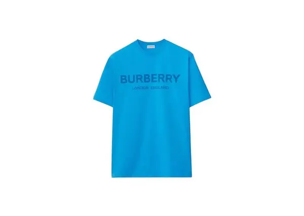 Burberry Logo Ellison Print T-shirt - Blue