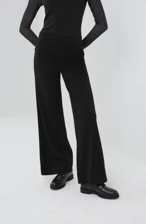 Anatomie Mita Comfortable Travel Pull On Wide Leg Pant - Black