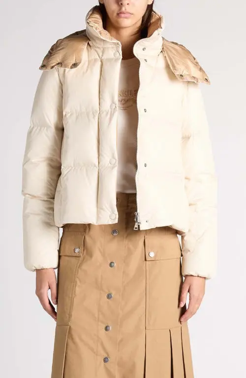 Moncler Castelnew Down & Feather Puffer Jacket
