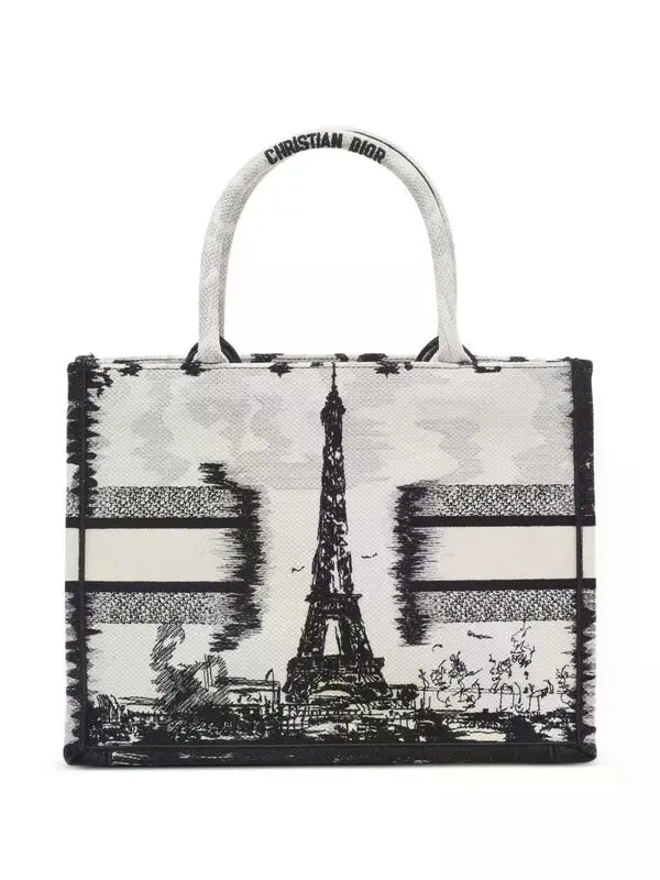 Dior 2024 Medium Book Tote Bag