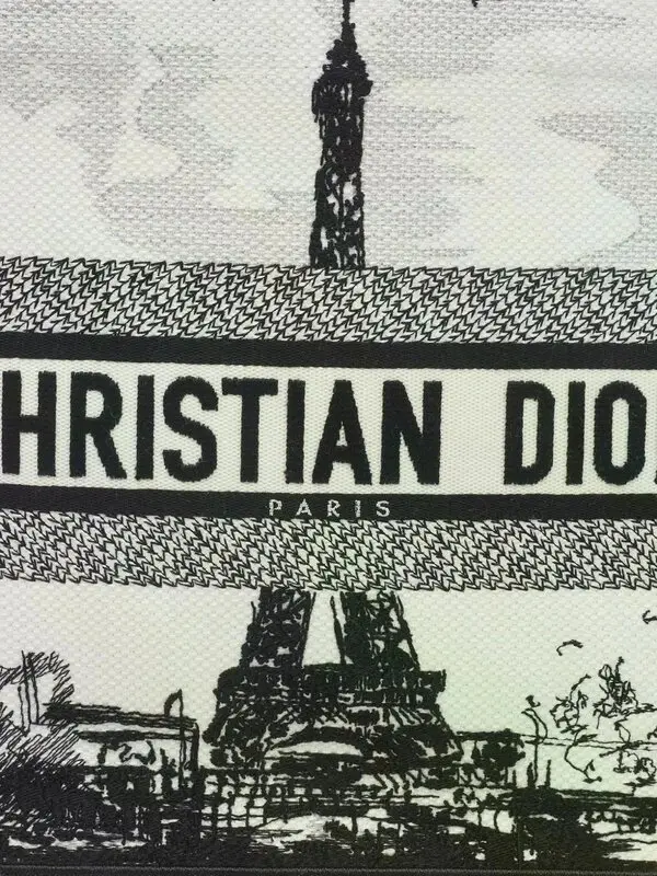 Dior 2024 Medium Book Tote Bag