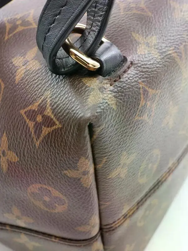 LOUIS VUITTON Montsouris Pm Monogram Backpack