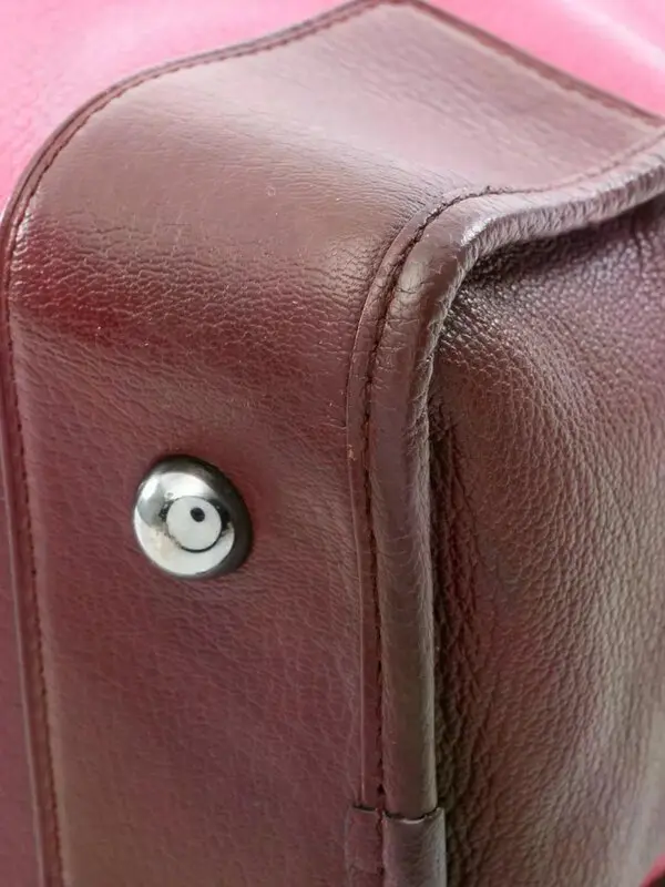 Loewe Amazona 36 Handbag