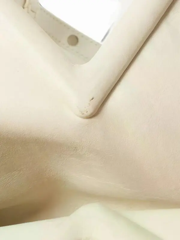 Bottega Veneta Small Point Tote Bag