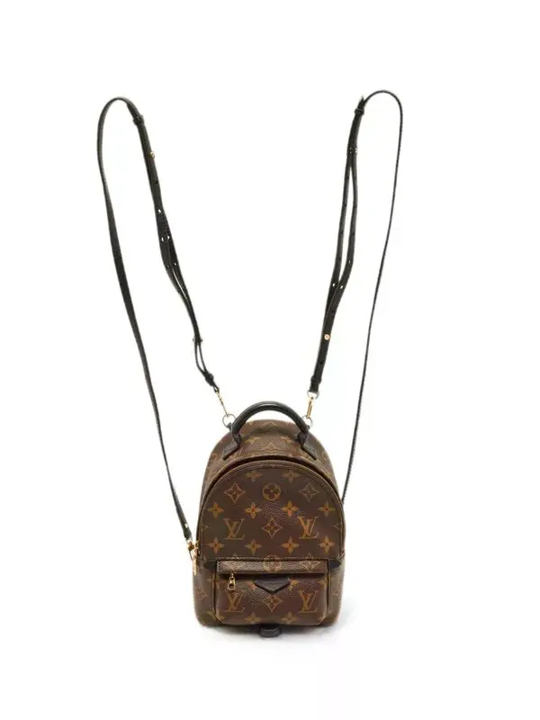 LOUIS VUITTON 2020 Mini Palm Springs Monogram Backpack - Brown