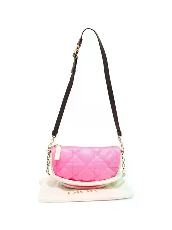 Dior 2022 Small Vibe Shoulder Bag