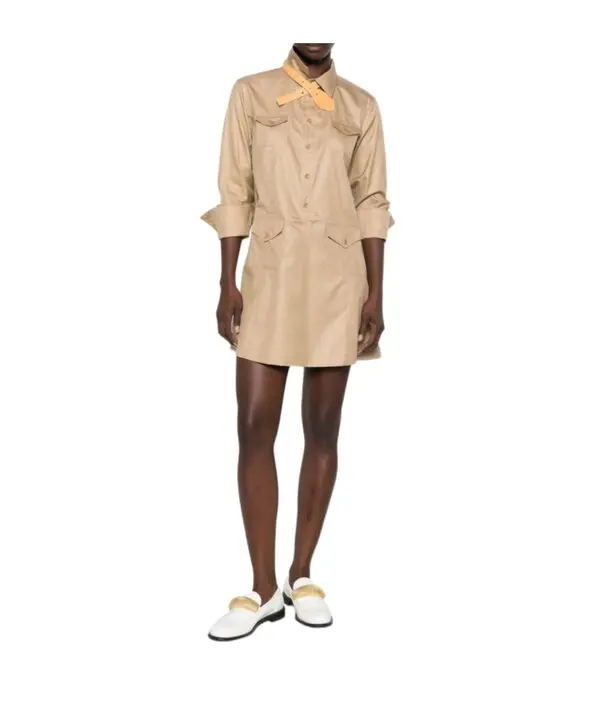 Celine Shirt Dress In Cotton And Silk Twill