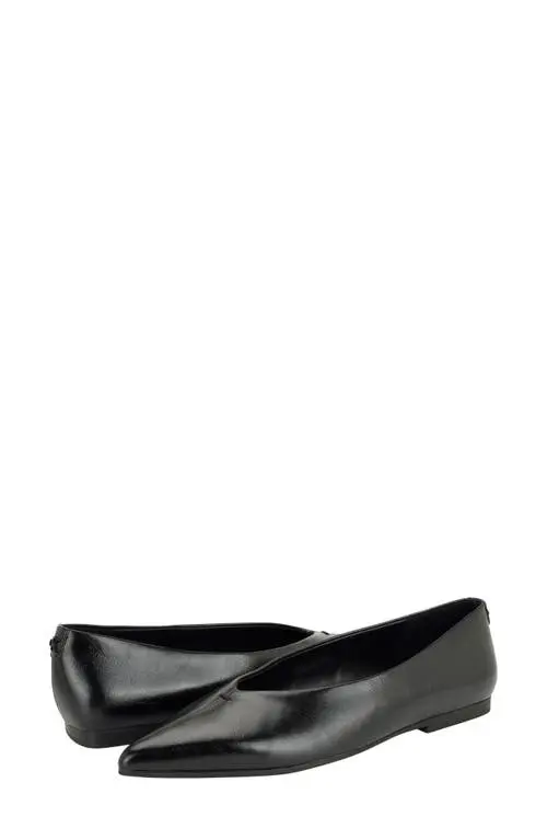 Calvin Klein Gemeen Pointed Toe Flat