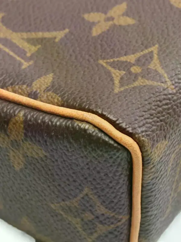 LOUIS VUITTON 2006 Recital Monogram Handbag