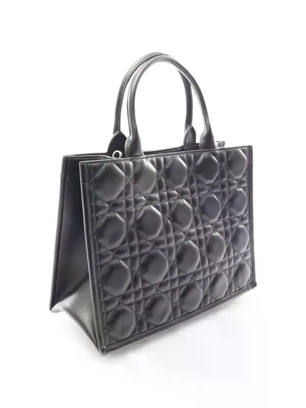 Dior 2010s Medium Book Tote Tote Bag