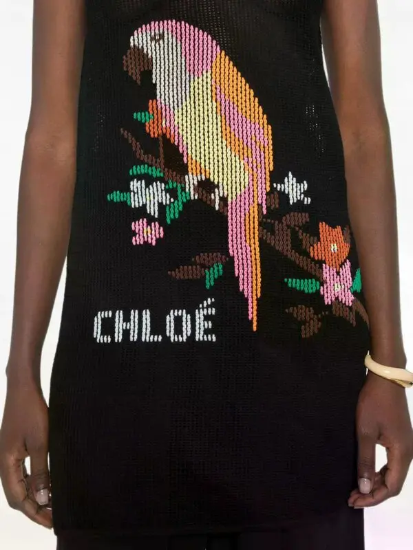 Chloé Embroidered Mesh-knit Mini Dress