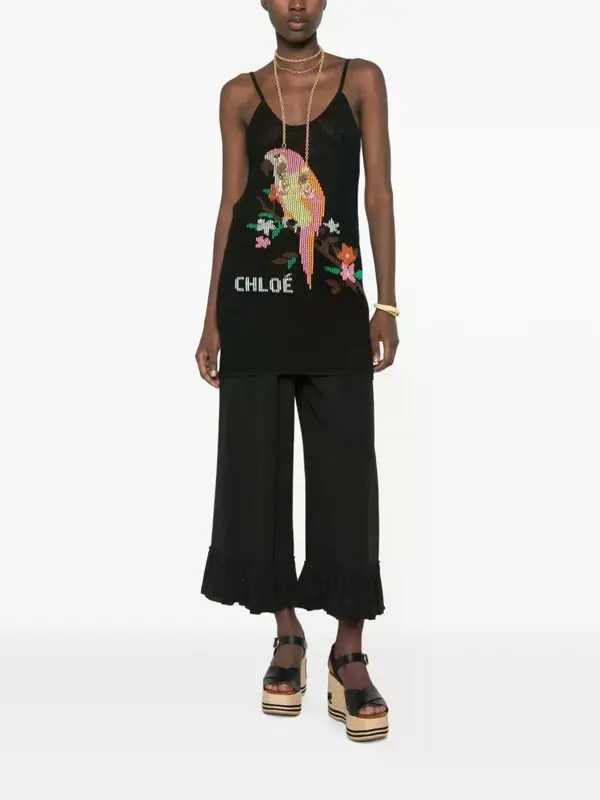 Chloé Embroidered Parrot Mesh-knit Mini Dress - Black