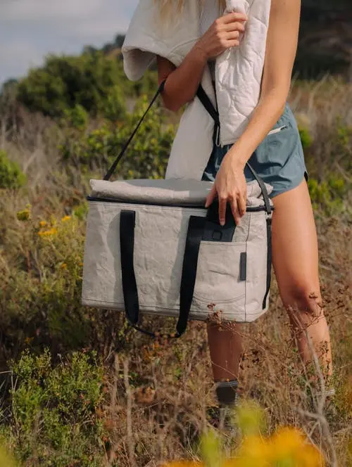 OUT OF THE WOODS Seagull Trunk Cooler