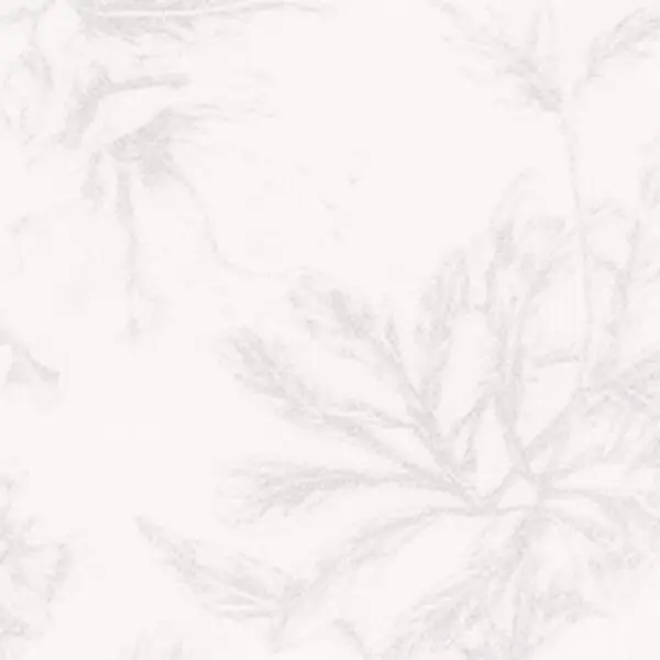 TARTINE ET CHOCOLAT Cotton Toile De Jouy Bib