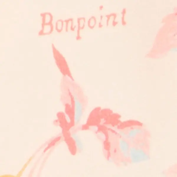 Bonpoint Printed Sundress