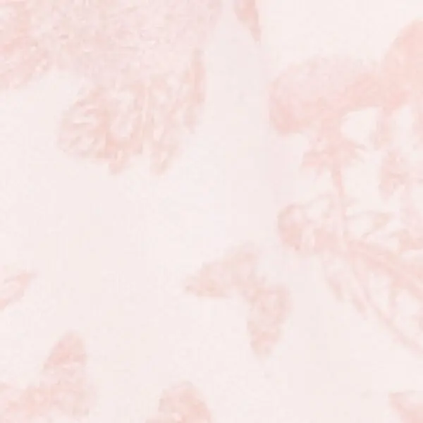 TARTINE ET CHOCOLAT Cotton Toile De Jouy Dress