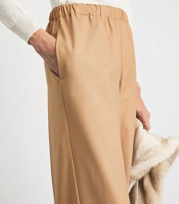 Fabiana Filippi Wool-blend Wide-leg Trousers