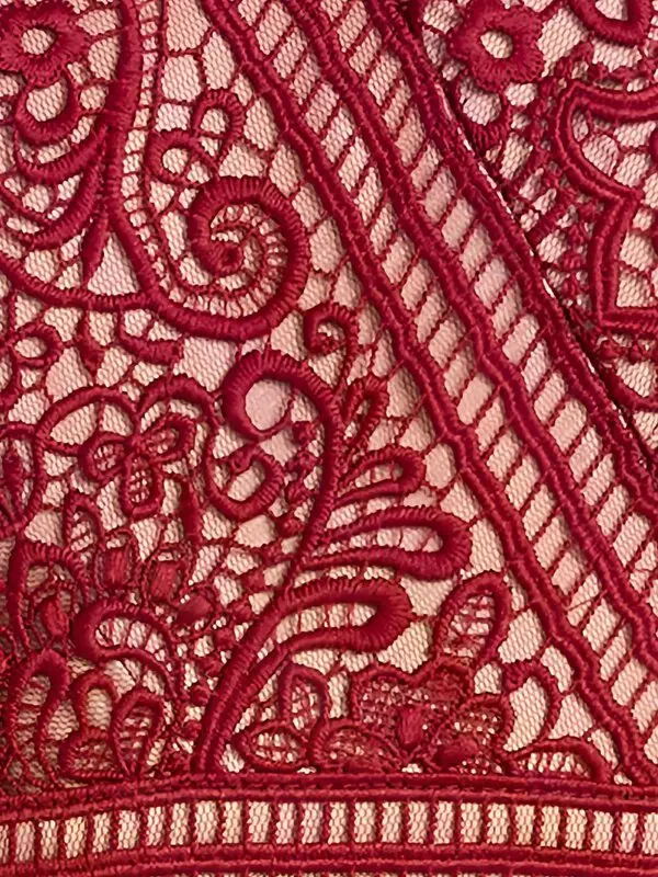 Tadashi Shoji Taryn Trackwork Lace-overlay Maxi Gown