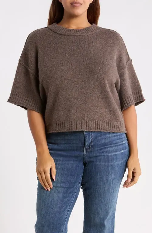 CITY BLUES Broome Short Sleeve Crewneck Sweater - Earth