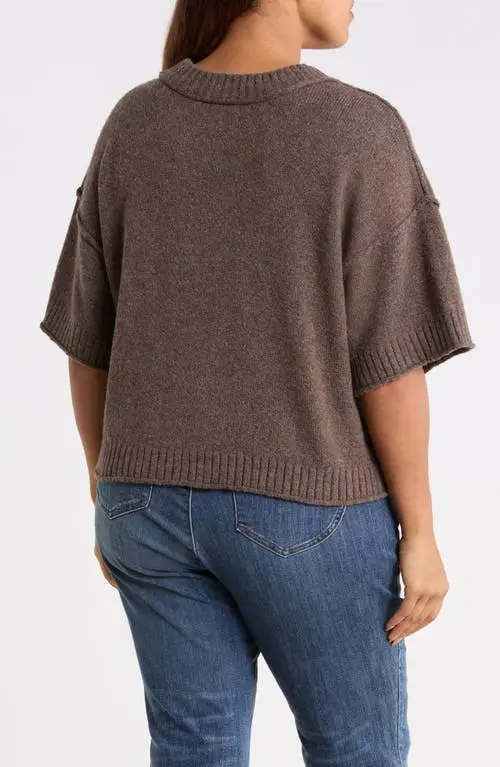 CITY BLUES Broome Short Sleeve Crewneck Sweater - Earth