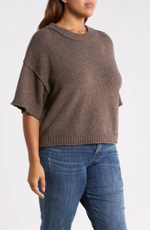 CITY BLUES Broome Short Sleeve Crewneck Sweater - Earth