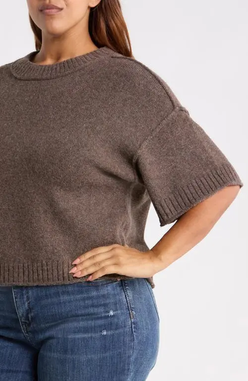 CITY BLUES Broome Short Sleeve Crewneck Sweater - Earth