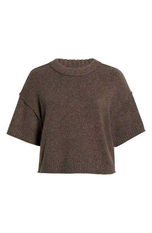 CITY BLUES Broome Short Sleeve Crewneck Sweater - Earth