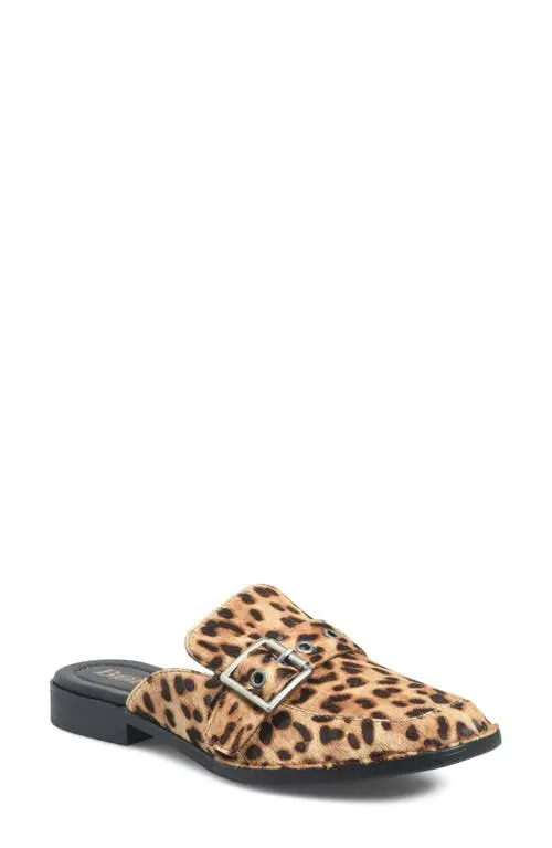 BØRN Mikah Mule With Buckle Detail - Dark Brown Leopard