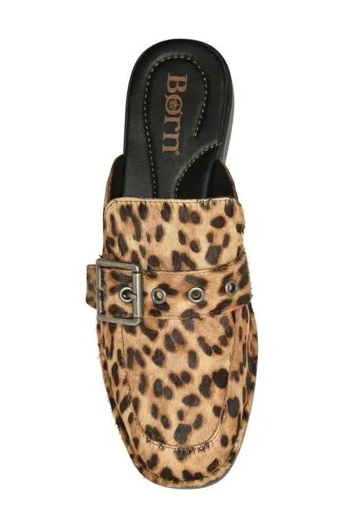 BØRN Mikah Mule With Buckle Detail - Dark Brown Leopard