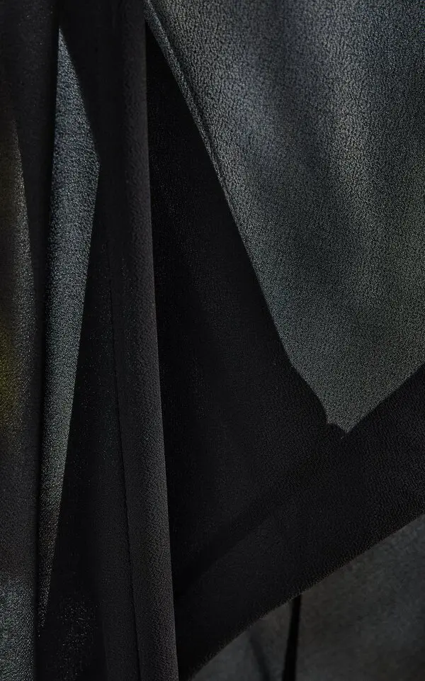 SLOAN Sheer Long Sleeve Turtleneck Top With Ruffled Sleeves