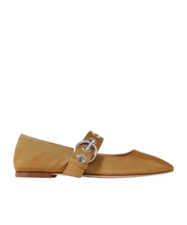 AeydĒ Ballet Flats With Detailed Embellishments