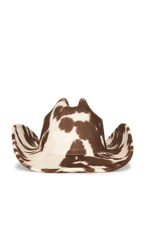 8 Other Reasons Cowboy Hat