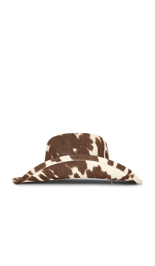 8 Other Reasons Cowboy Hat