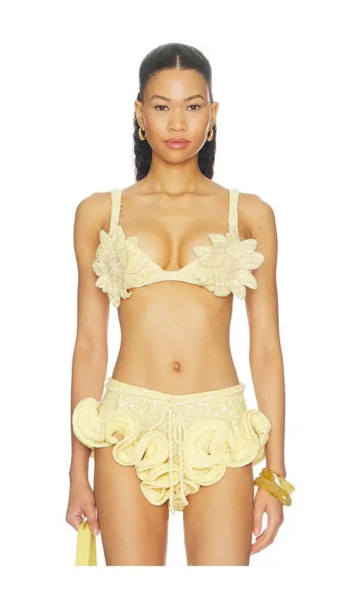 PatBO Iara Crochet Embroidered Bra Top