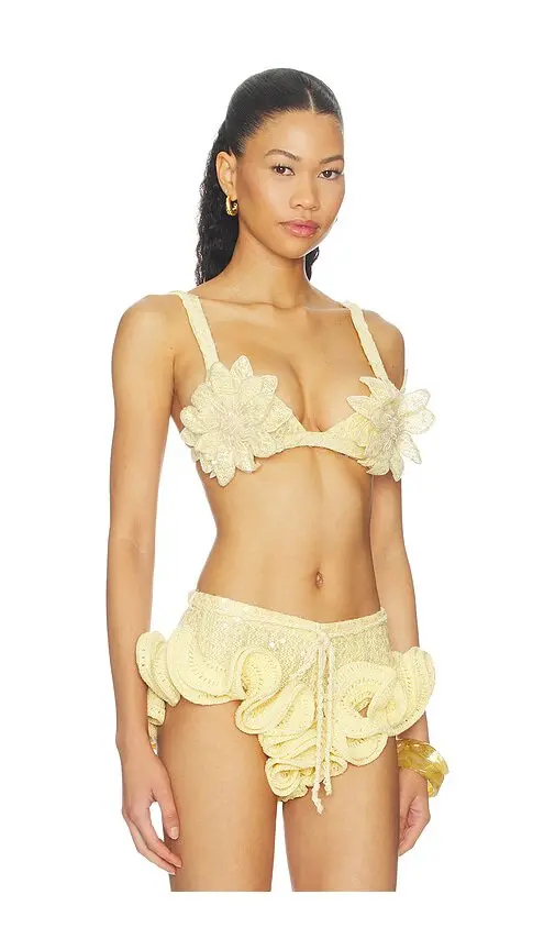 PatBO Iara Crochet Embroidered Bra Top