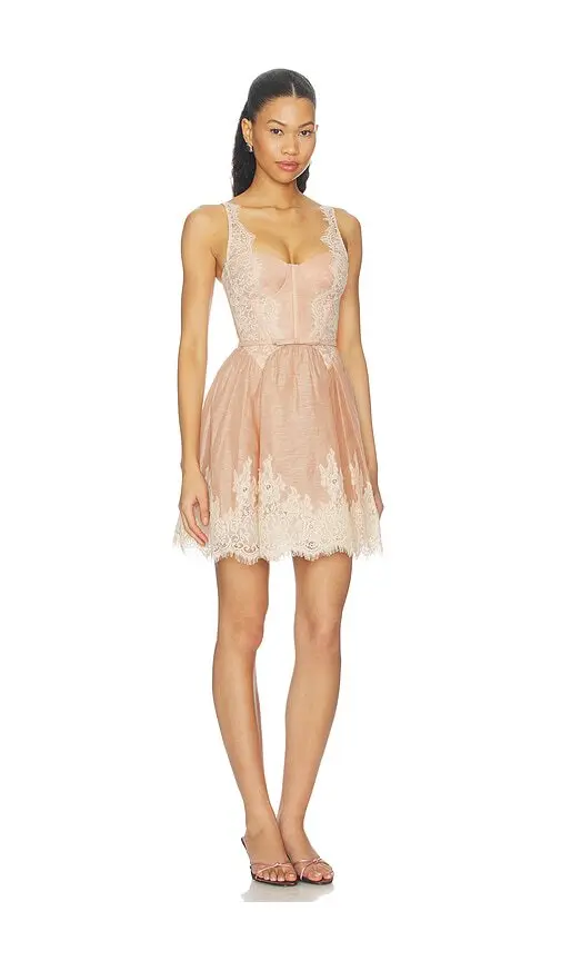 Zimmermann Valiant Lace Trim Mini Dress In Pink