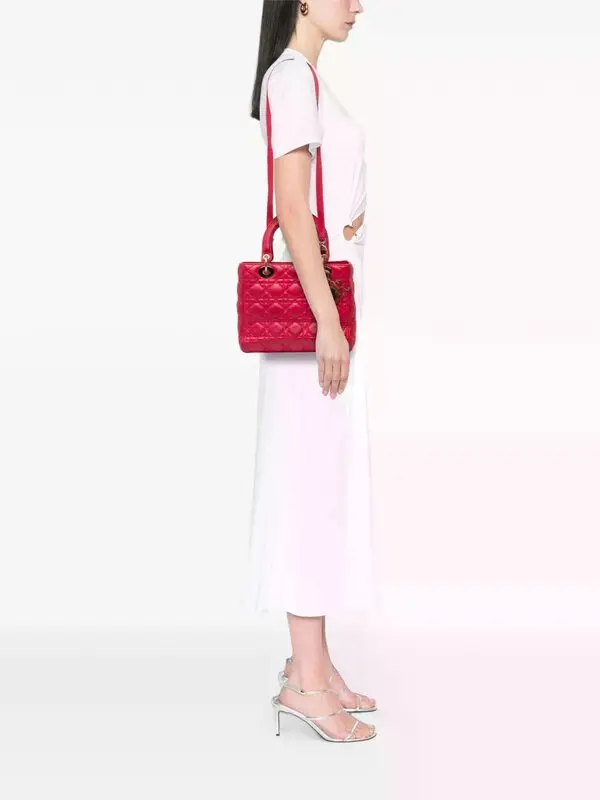 Dior 2014 Medium Lambskin Cannage Lady Satchel
