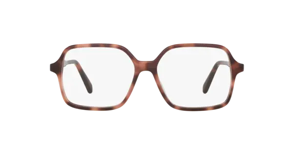 Celine Cl000439 - Tortoise
