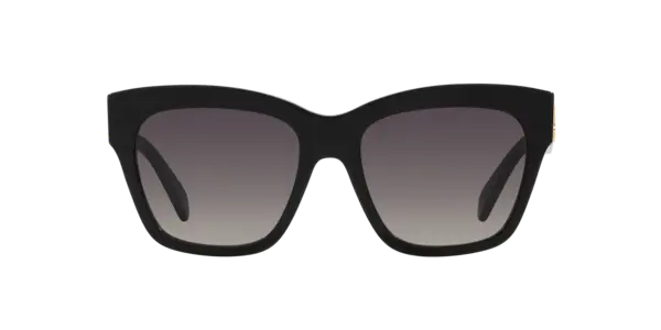 Celine Triomphe Sunglasses - Black