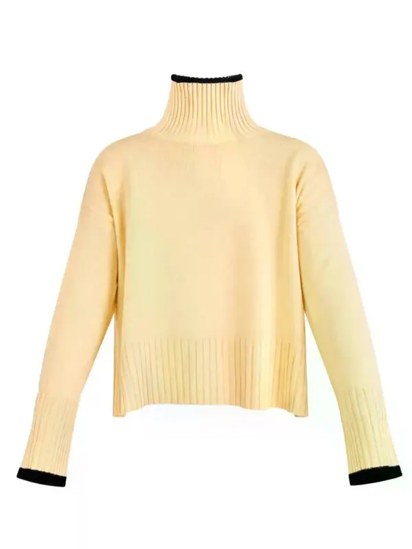 Pinko High Neck Ribbed Sweater