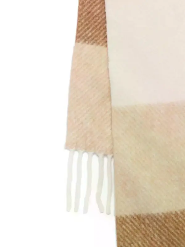 Loewe Striped-pattern Fringed Scarf