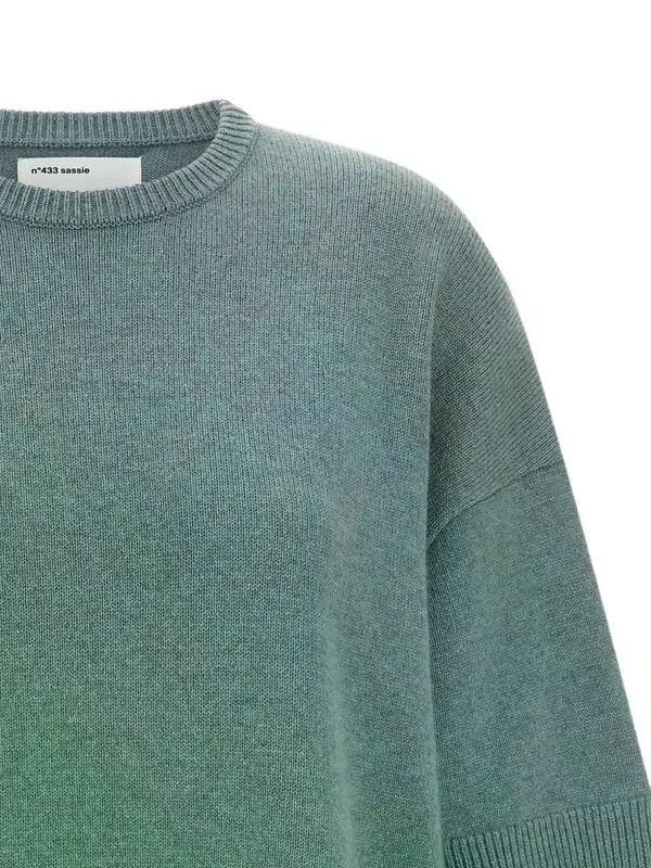 Extreme Cashmere N433 Sassie Crew-neck Sweater