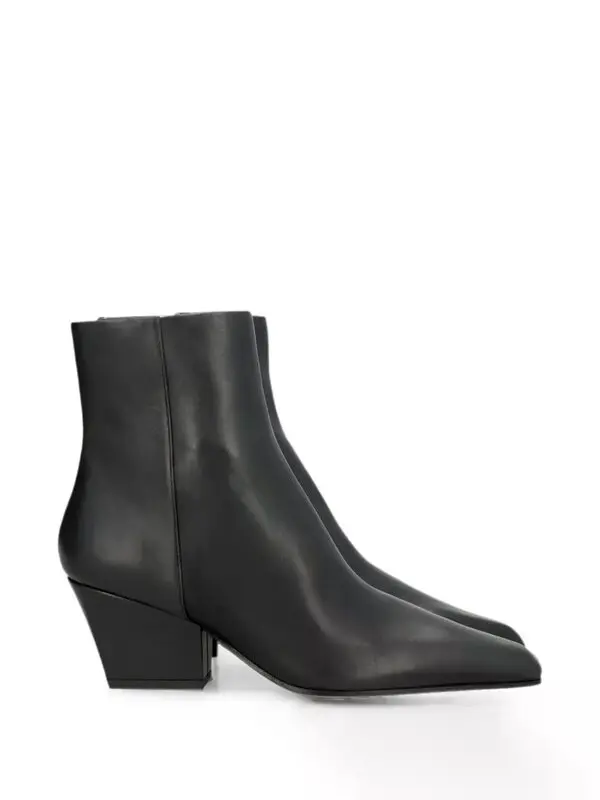 Paris Texas Jane Pointed-toe Ankle Boots