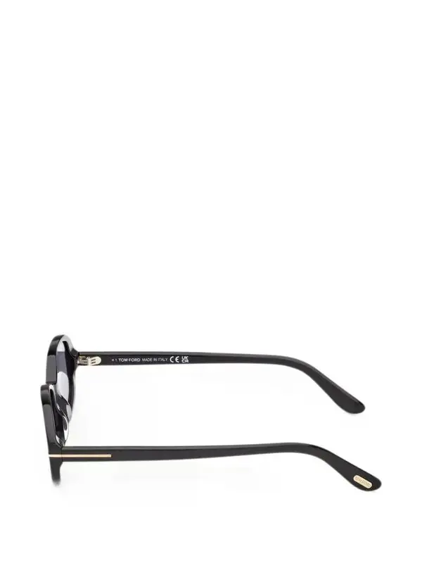 TOM FORD Iggy Oval Sunglasses