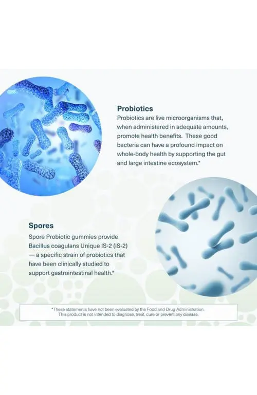 YOUTHEORY Spore Probiotic Vegan Gut Digestive Support Gummies 60 Gummies